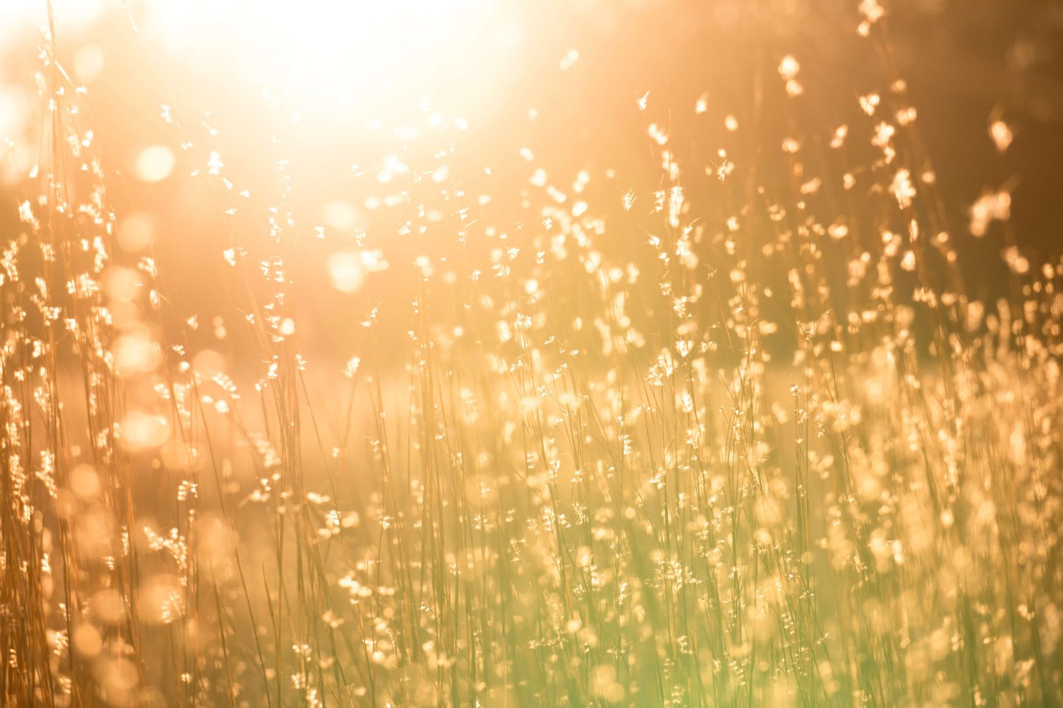 St. Francois County Health Center